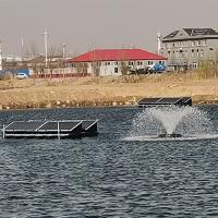 China Portable Solar Powered Paddle Wheel Aerator 30kg Weight with 2-3mg/L Oxygen Increase for Shrimp and Fish Farming for sale