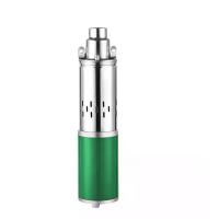 China 1Hp 2 Inch Stainless Steel Solar Submersible Pump for Seawater - 0-100m Head & 0.5-20 m³/h Flow for sale