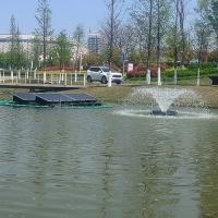 China 380V 0.5KW Solar Powered Pond Aerator with Fountain Landscaping and Water Quality Improvement for sale