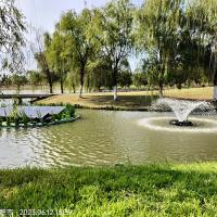 China 380V 0.5KW Solar Powered Pond Aerator with Fountain Landscaping and Water Quality Improvement for sale