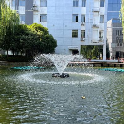 China 100W Solar Powered Fountain Water Aerator for Fish Ponds - 60W Motor, 2.5m Water Lift, 1000-2000 m² Coverage for sale