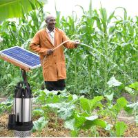 China DC 24V 430W Solar Submersible Water Pump BLDC Motor Deep Well Pump for Agriculture 20m Head for sale