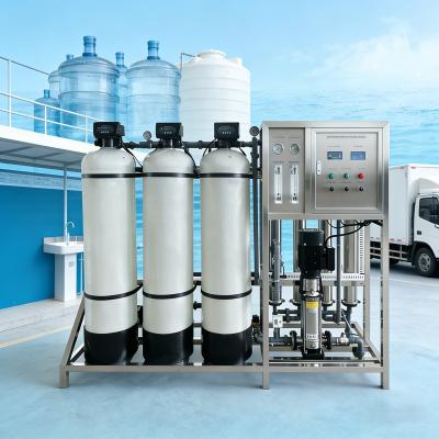 China Seawater Desalination RO Plant 500LPH Reverse Osmosis Water Filter System for Home Industrial Use for sale