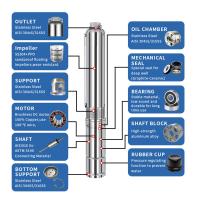 China 300W DC24V Stainless Steel Submersible Solar Water Pump for Deep Well for sale