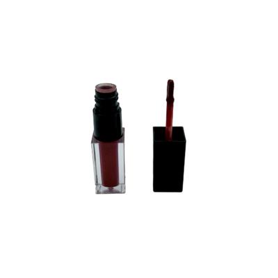 China CE Private Logo No Odor Velvet Matte Lip Gloss for sale
