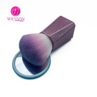 China Wesson Private Logo Plastic Flawless Coverage Makeup Foundation Brush for sale
