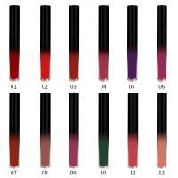 China 12color Not Esy Fade Matt Lip Gloss Velvet Labial Glair for sale