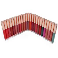 China OEM 24color Velvet Mist Matt Lip Gloss Genuine Lipstick for sale