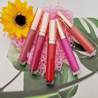 China OEM 24color Velvet Mist Matt Lip Gloss Genuine Lipstick for sale