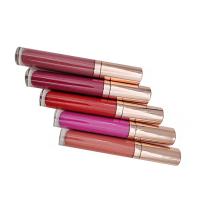 China OEM 24color Velvet Mist Matt Lip Gloss Genuine Lipstick for sale
