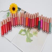 China OEM 24color Velvet Mist Matt Lip Gloss Genuine Lipstick for sale
