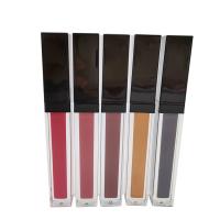 China ODM 49 Color Biochemical Matt Lip Gloss Lipstick for sale