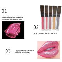 China ODM 49 Color Biochemical Matt Lip Gloss Lipstick for sale