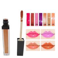 China ODM 49 Color Biochemical Matt Lip Gloss Lipstick for sale