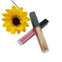 China ODM 49 Color Biochemical Matt Lip Gloss Lipstick for sale