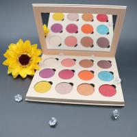 China 500pcs Dramatic ISO Mineral Makeup Eyeshadow Palette 16.2*12.3*3.3cm for sale