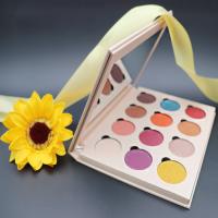 China 500pcs Dramatic ISO Mineral Makeup Eyeshadow Palette 16.2*12.3*3.3cm for sale