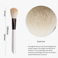 China 10PCS Multifunctional Goat Hair Makeup Brush Set 19*4cm for sale