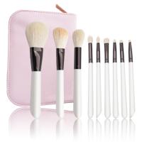 China 10PCS Multifunctional Goat Hair Makeup Brush Set 19*4cm for sale