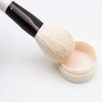 China 10PCS Multifunctional Goat Hair Makeup Brush Set 19*4cm for sale