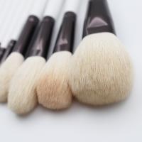 China 10PCS Multifunctional Goat Hair Makeup Brush Set 19*4cm for sale