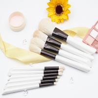 China 10PCS Multifunctional Goat Hair Makeup Brush Set 19*4cm for sale