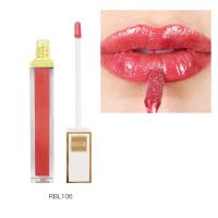 China 2.5g 60C Color Matte Glossy Lipstick 500pcs Natural Waterproof Gloss Lipstick for sale
