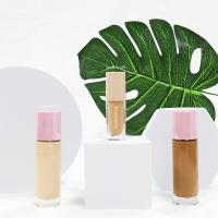 China ISO Waterproof 2C Color Cosmetic Liquid Foundation Natural Concealer for sale