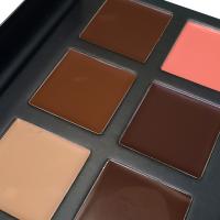 China Bronzer Palette 6C Colors Face Makeup 2.5g Highlight Make Up Palette for sale