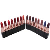 China 16C Color Matte Lip Stick 8×2cm Wesson Beauty Waterproof Lipstick for sale