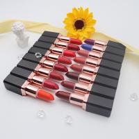 China 16C Color Matte Lip Stick 8×2cm Wesson Beauty Waterproof Lipstick for sale