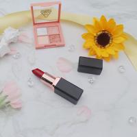 China 16C Color Matte Lip Stick 8×2cm Wesson Beauty Waterproof Lipstick for sale