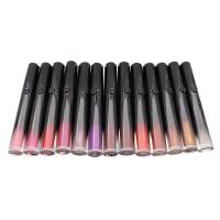 China ISO Mineral 13C Color Matt Lip Gloss OEM Liquid Waterproof Lip Gloss for sale