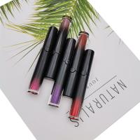 China ISO Mineral 13C Color Matt Lip Gloss OEM Liquid Waterproof Lip Gloss for sale