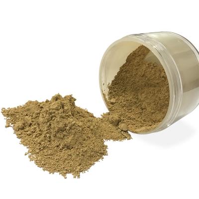 China ISO Translucent 8 Color Loose Mineral Powder Vegan Cosmetics Makeup Powder for sale