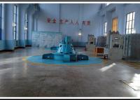 China 200m Head 3x28MW Axial Flow Hydro Turbine for sale