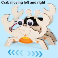 China Children Intellectual Training Educational Wooden Toy Early Education School Wooden STEM Toys for sale