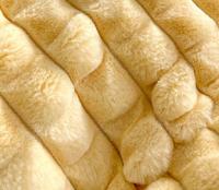 China 320gsm Soft Plush Coral Fleece Blanket Warm Minky Throw Blankets for sale