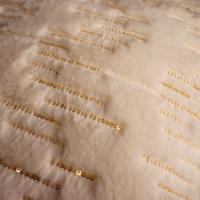 China Stylish Faux Fur Throw Blanket Nondisposable Luxury Embroidered Minky Throw Blankets for sale