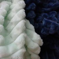 China 320gsm Soft Plush Coral Fleece Blanket Warm Minky Throw Blankets for sale