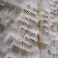China Stylish Faux Fur Throw Blanket Nondisposable Luxury Embroidered Minky Throw Blankets for sale