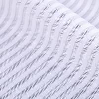 China 190GSM To 310GSM Polyester Mesh Fabric Mesh Cloth Fabric Moisture Absorbent for sale