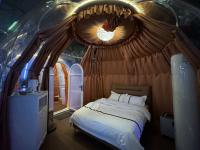 China Transparent Vacant Star Room Geodesic Dome Glamping Dome House For Garden Outside Clear Bubble House for sale