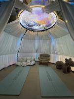 China Transparent Vacant Star Room Geodesic Dome Glamping Dome House For Garden Outside Clear Bubble House for sale