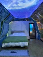 China Modern Fashionable Outdoor Prefab Infinitely Elongated Elliptical Shape Star Room for Glamping Geodesic Dome House for Hotels for sale
