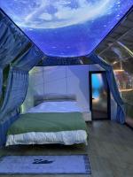 China Modern Intelligent Outdoor Prefab Star  Room Waterproof polycarbonate Domes For Glamping Geodesic Dome House for Hotels for sale