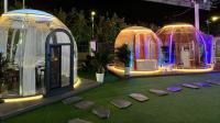 China High Quality Outside Commercial Double Dome House Inflatable Bubble Tent House for Sale for sale