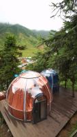China Luxury Outdoor Transparent Inflatable Bubble Lodge for Camping and Hotel Tent Comfortable House Dome Design for sale