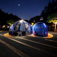 China Factory Price Easy Installation Clear Dome Tent Double Dome House for Outdoor Restaurant for sale