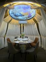 China Modern Design Full House Prefab Outdoor Polycarbonate Clear Geodesic Bubble Dome Tent Hotel Dining Park-Green PC Houses Glamping for sale